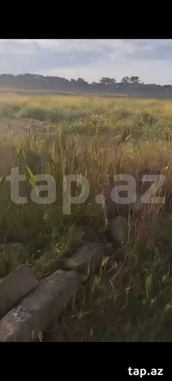 14 sot torpaq sahəsi, Zabrat qəs.: 2999 AZN — Bakı, Azərbaycan ...