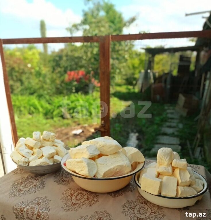 Kənd pendiri: 9 AZN — Naxçıvan, Azərbaycan | 45696695 — Tap.Az
